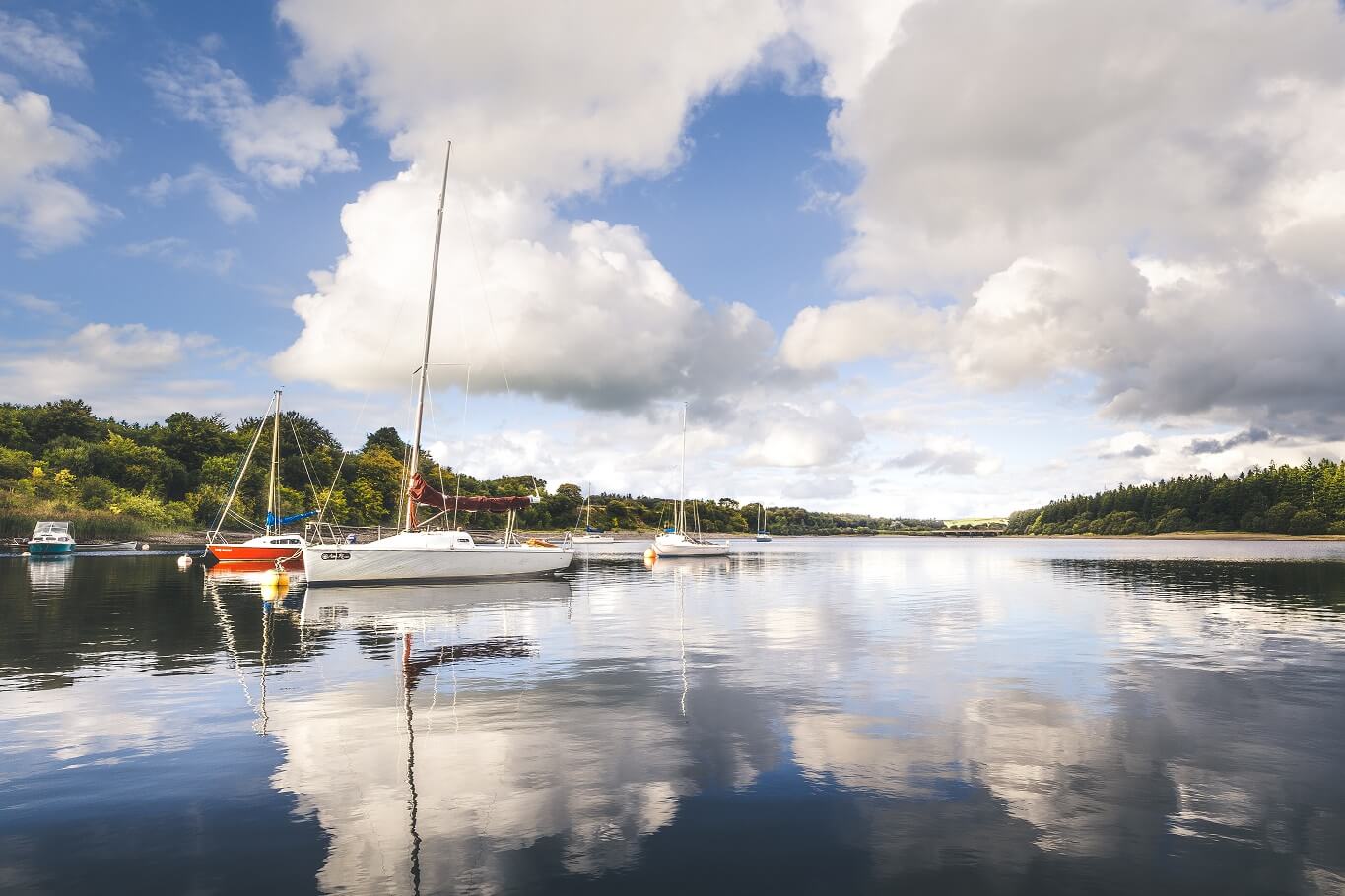 The Avon - Wicklow County Tourism