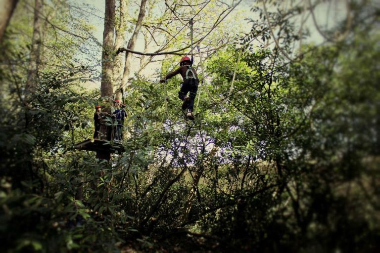 Squirrel's Scramble Tree Adventure Park - Wicklow County Tourism