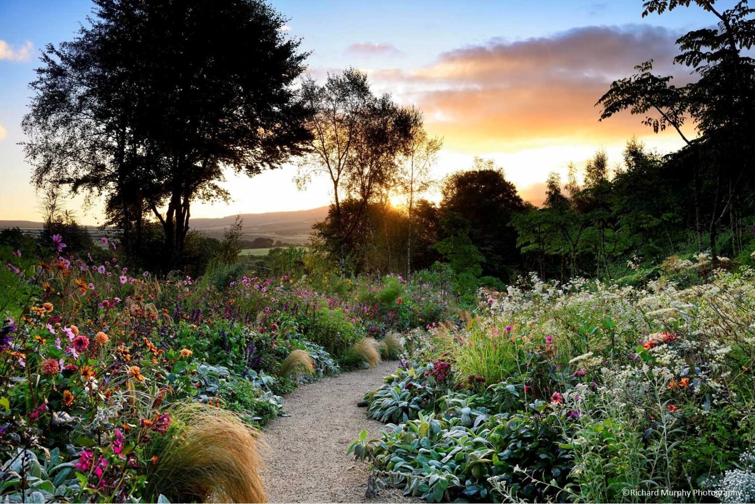 9 Wicklow Hidden Gardens You Must Experience - Wicklow County Tourism