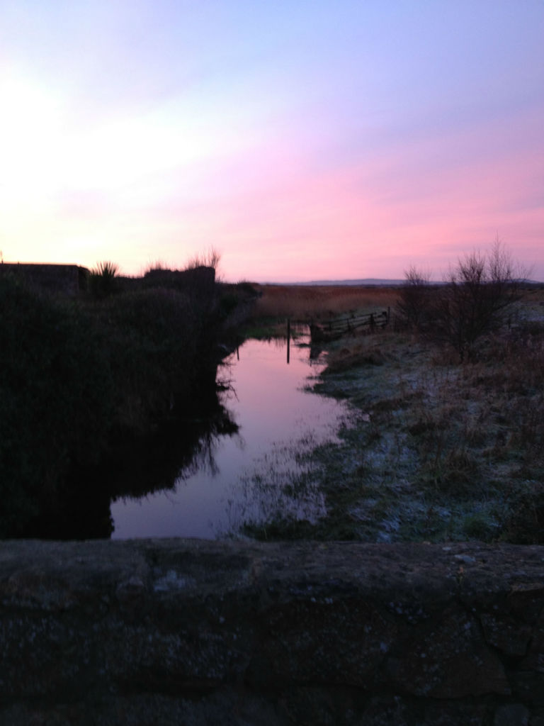 To Begin Again. Return Again - Winter Migrants on Kilcoole Beach ...