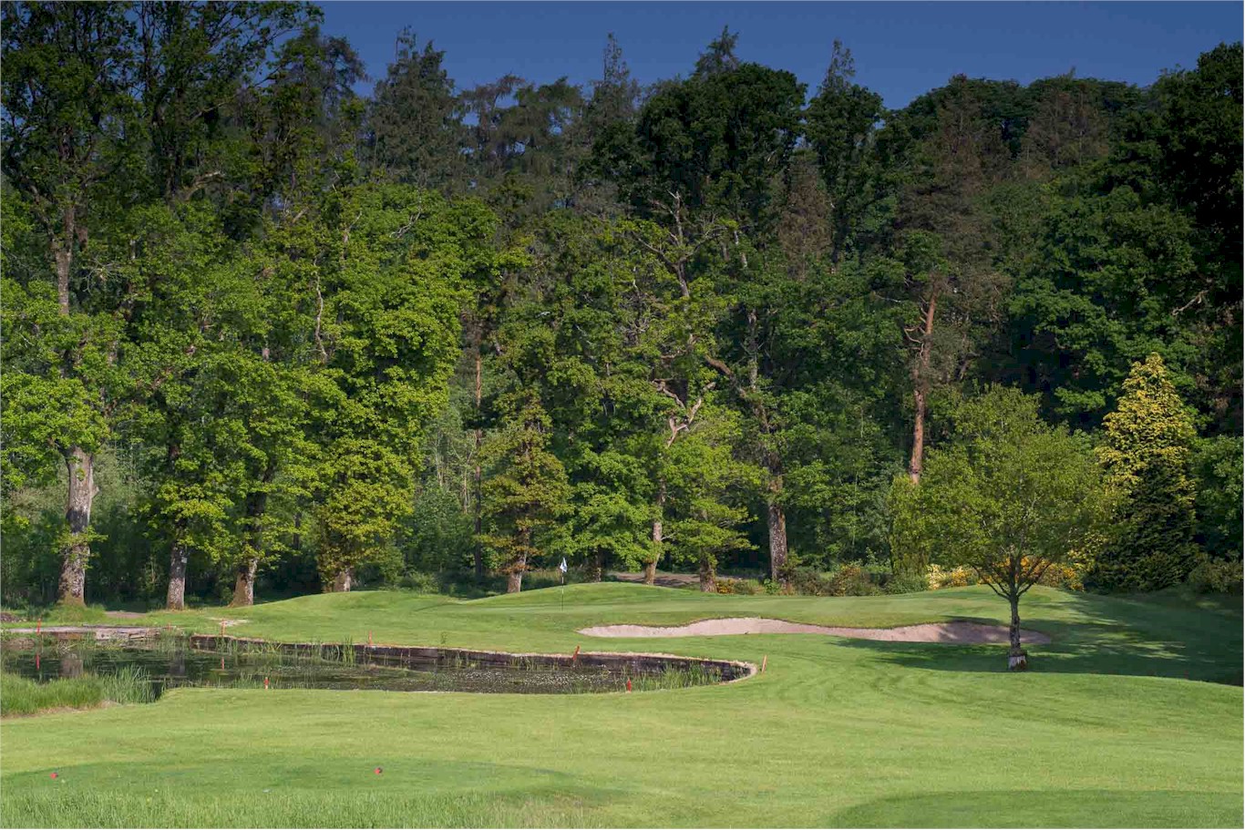 Rathsallagh Golf Club - Wicklow County Tourism