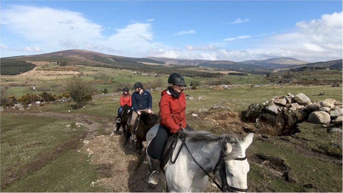 Multi-Activities & Discoveries in West Wicklow: Russborough House ...