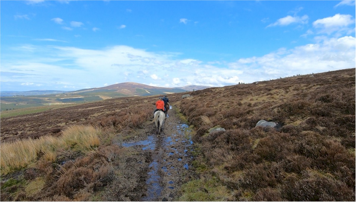 Multi-Activities & Discoveries in West Wicklow: Russborough House ...