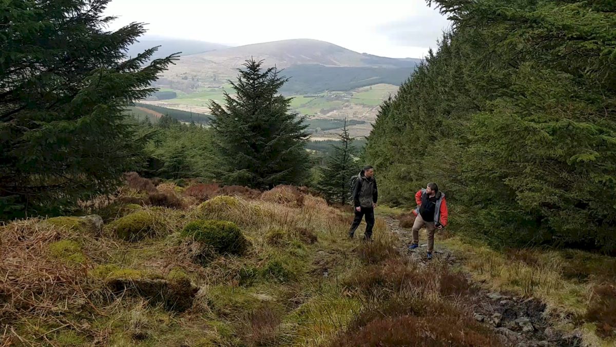 Multi-Activities & Discoveries in West Wicklow: Russborough House ...