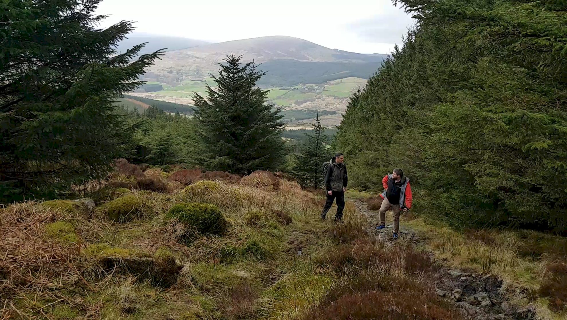 Multi-Activities & Discoveries in West Wicklow: Russborough House ...