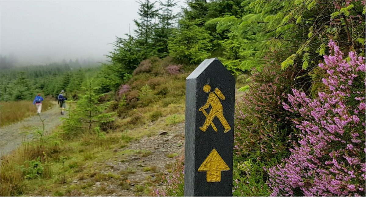 Wicklow Way Map, GPS and Overall Information - Wicklow County Tourism