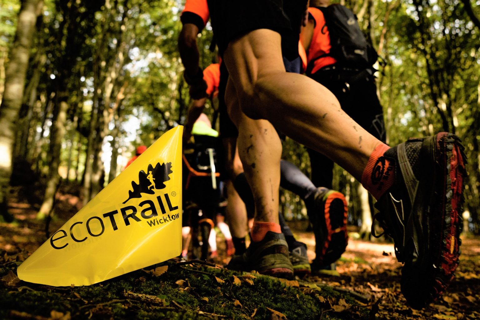 Best Wicklow Walks & Trails - Wicklow County Tourism