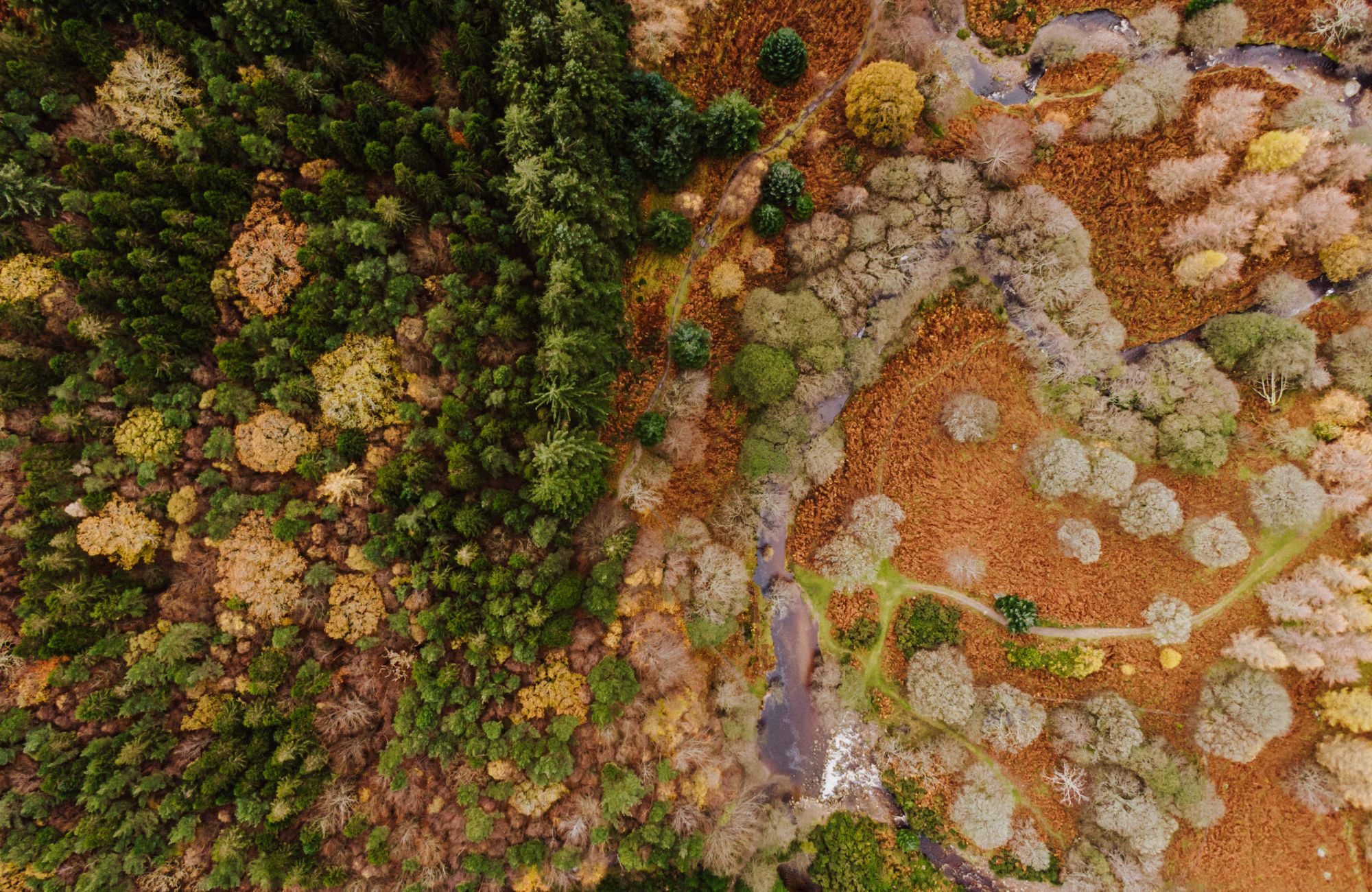 Autumn Colours in The Garden County - Wicklow County Tourism