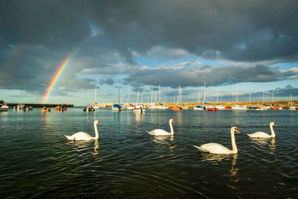 Bray Included in Top 14 Underrated Destinations by TimeOut - Wicklow ...