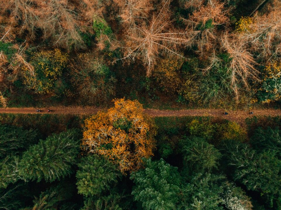 A Guide to Wicklow's Vibrant Autumn Colours - Wicklow County Tourism