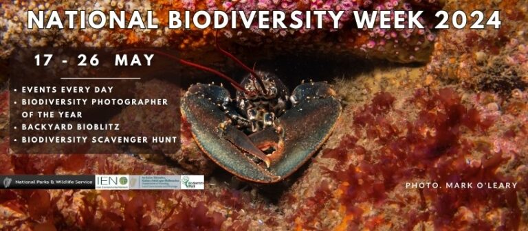 National Biodiversity Week 2024 - Wicklow County Tourism