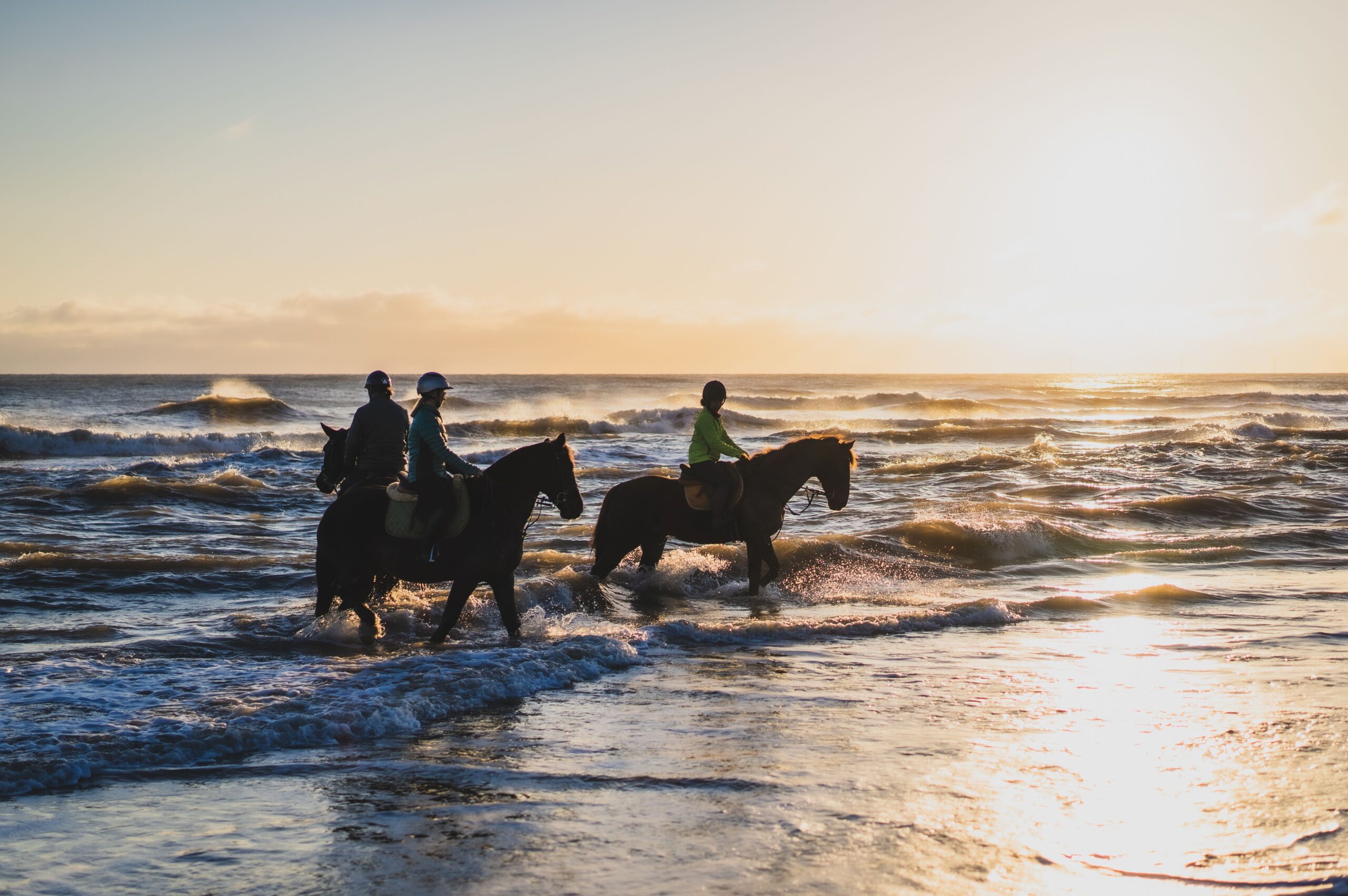 Top Equestrian Activities in Wicklow - Wicklow County Tourism